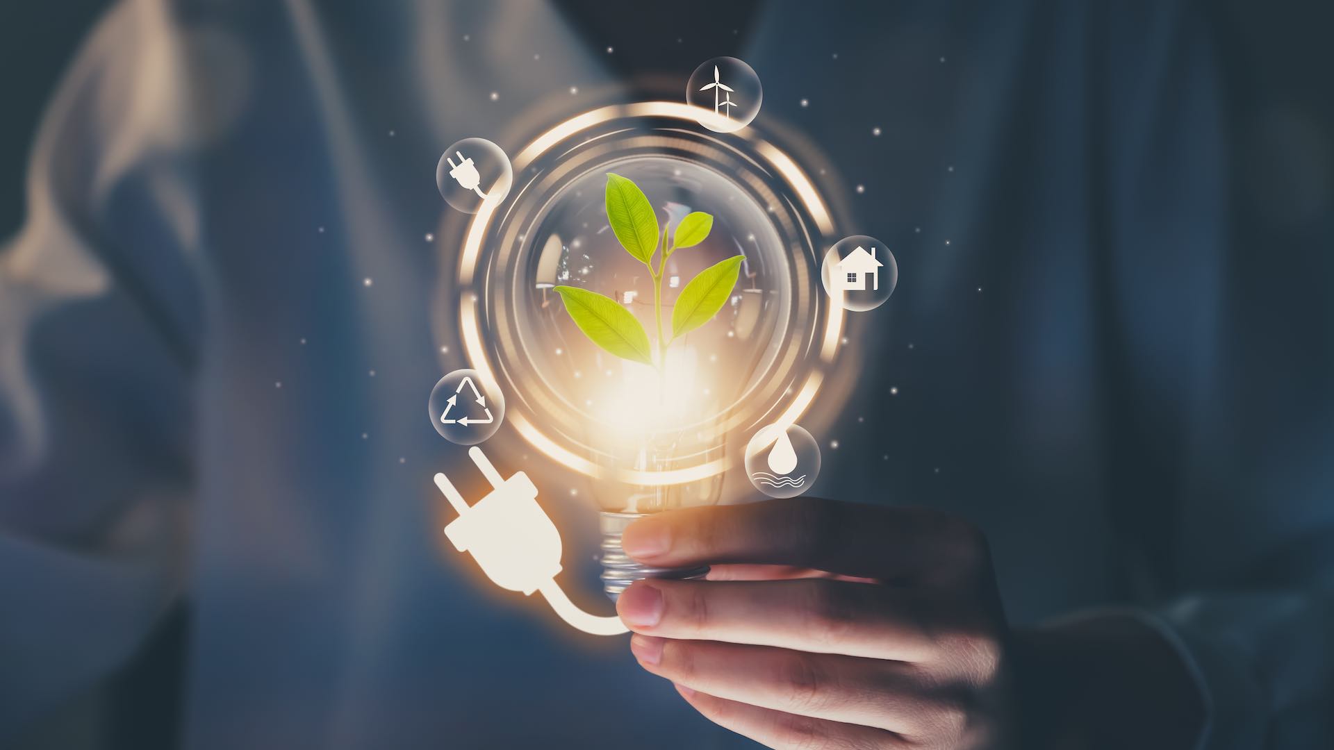 Circular model could cut EU waste by over 30 percent - Qatar Insight